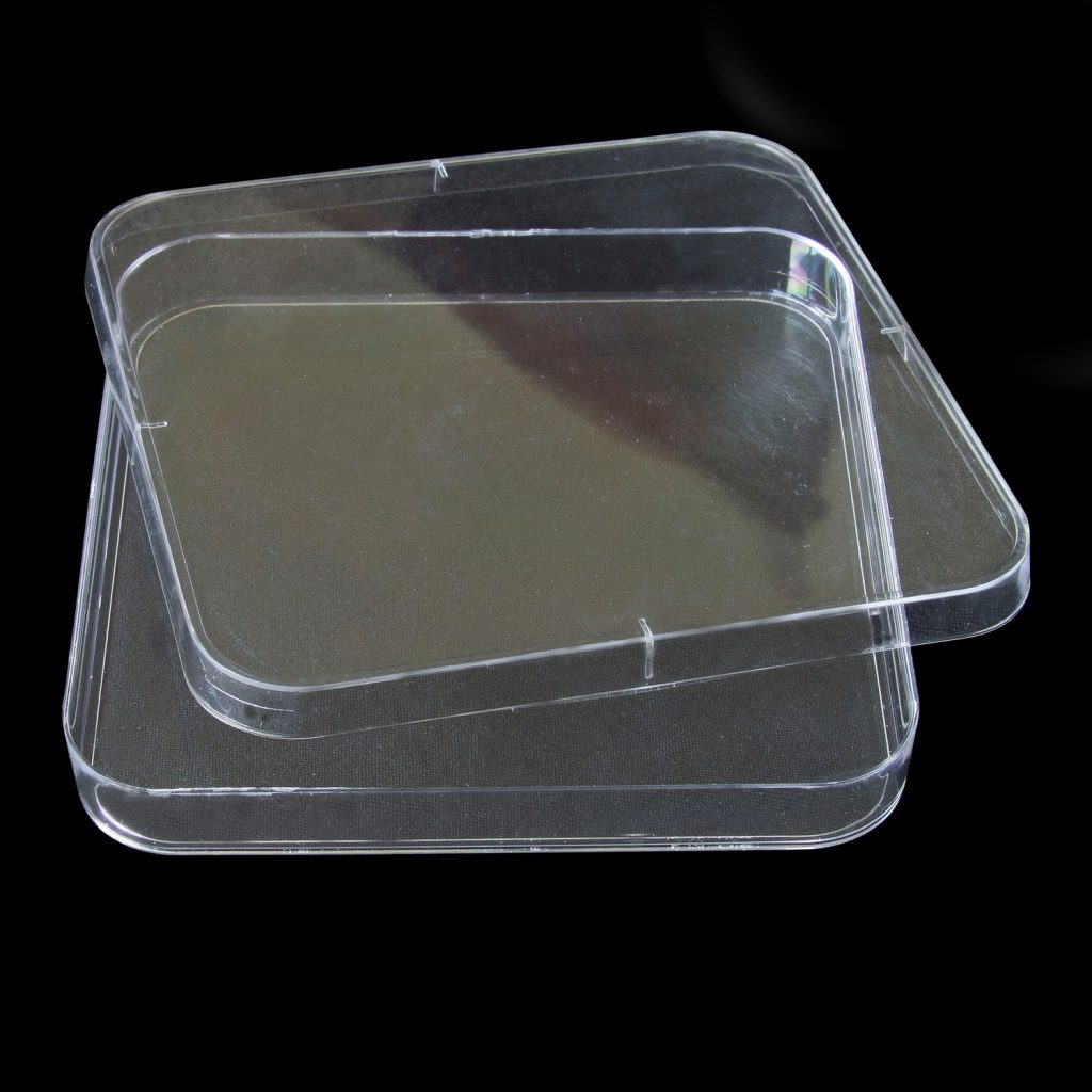 120mm Square Petri Dish. Aseptic Packs Of 10. Box Of 240 Clear